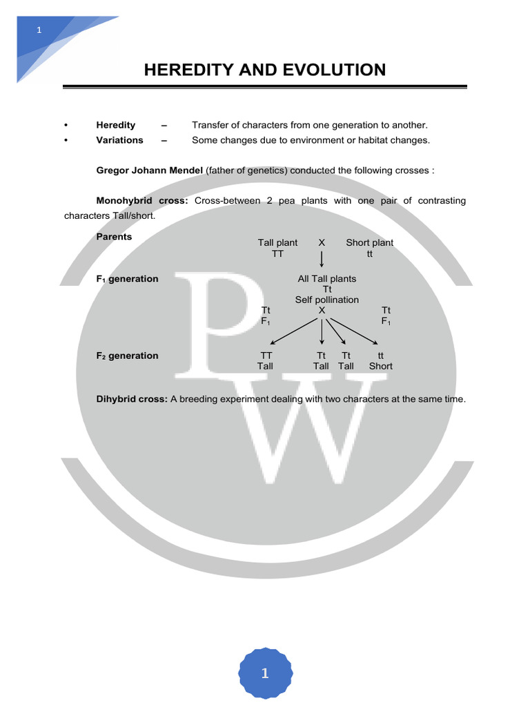Heredity | PDF | Gene | Life Sciences