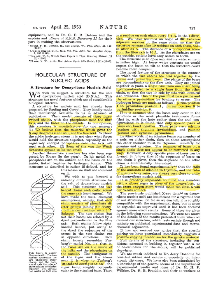 Watson and Crick_1st paper | PDF