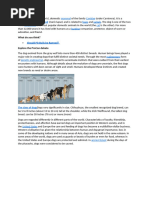 Red Dog by Louis de Bernières Sample Chapter | PDF | Forest Stewardship ...