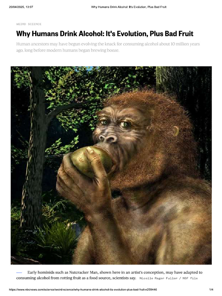 why humans drink alcohol | PDF