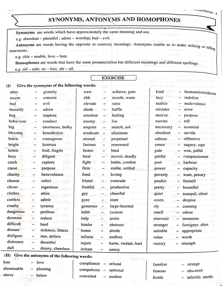 Synonyms, Antonyms, Homophones | PDF