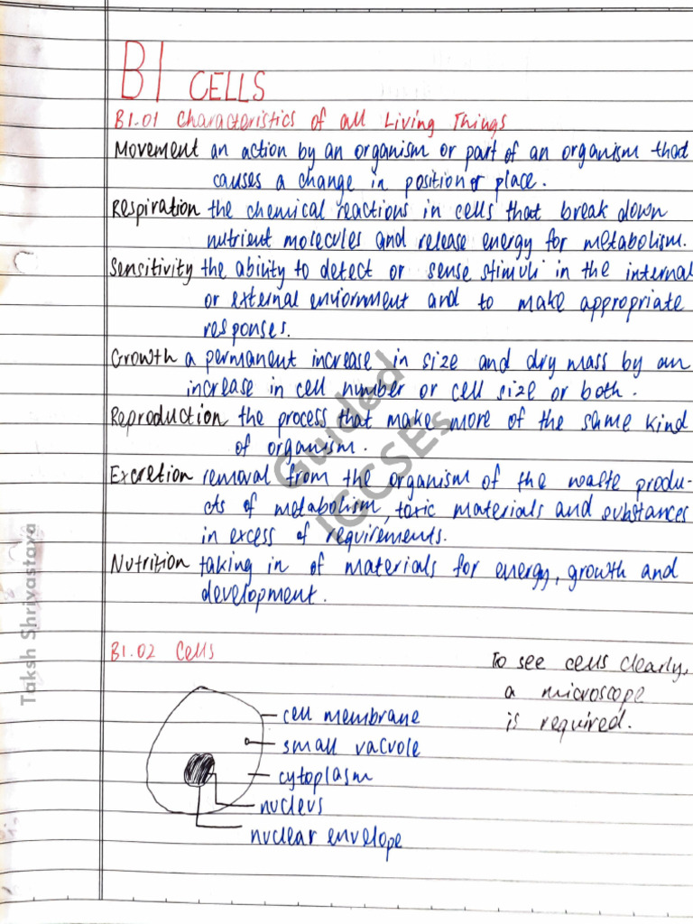 Understanding Cell Structures and Functions | PDF