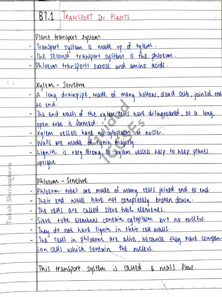 Unit 7 Transport - 0654 Biology | PDF | Cardiovascular Physiology | Anatomy