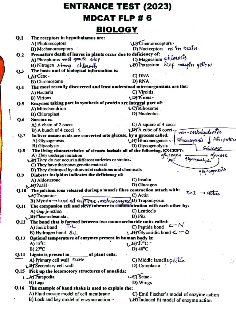 FLP 6 STEP 2023 + Key | PDF