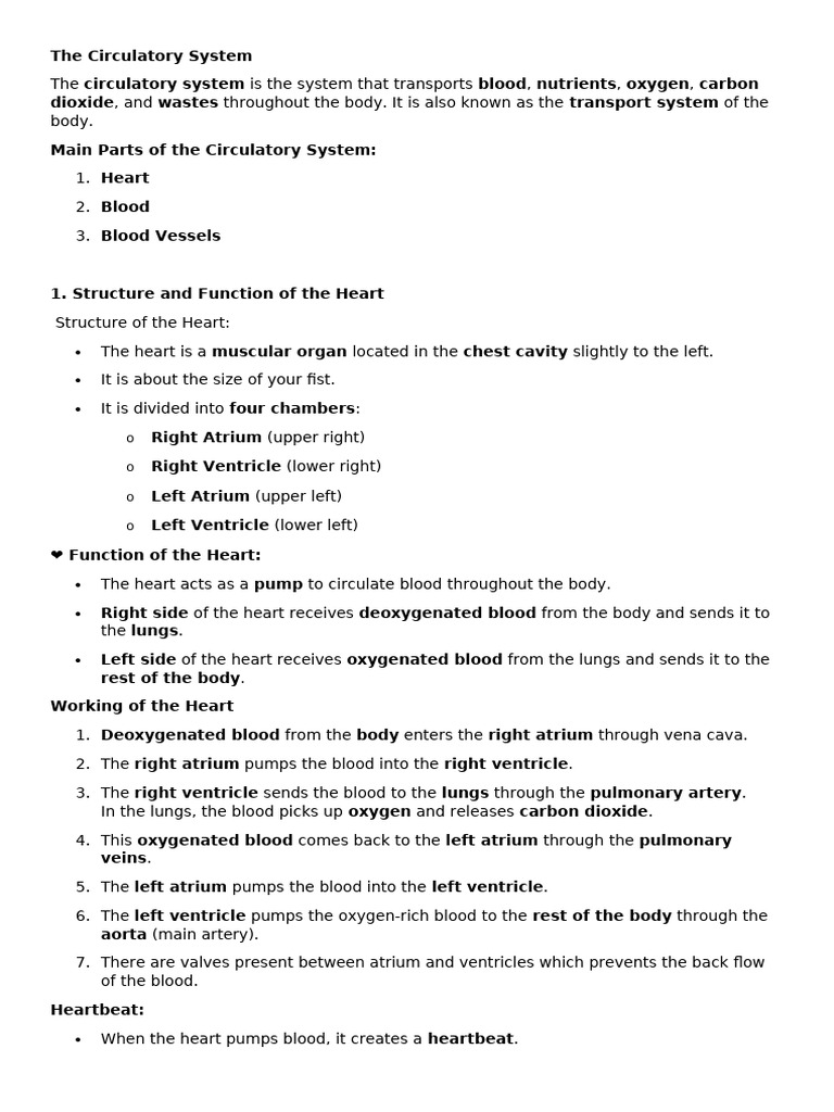 Circulatoty System Notes | PDF | Heart | Circulatory System