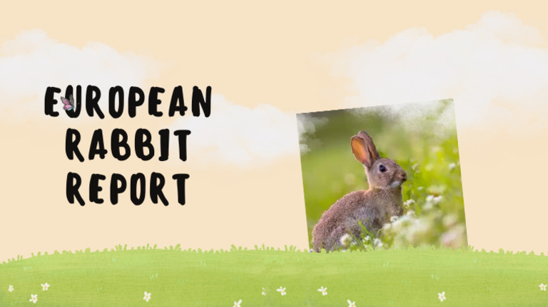 European Rabbit Report | PDF