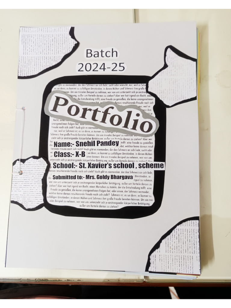 Portfolio Class 10 2024-25 | PDF
