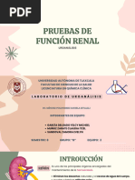 Valores Normales de Urea y Creatinina | PDF | Relaciones personales ...