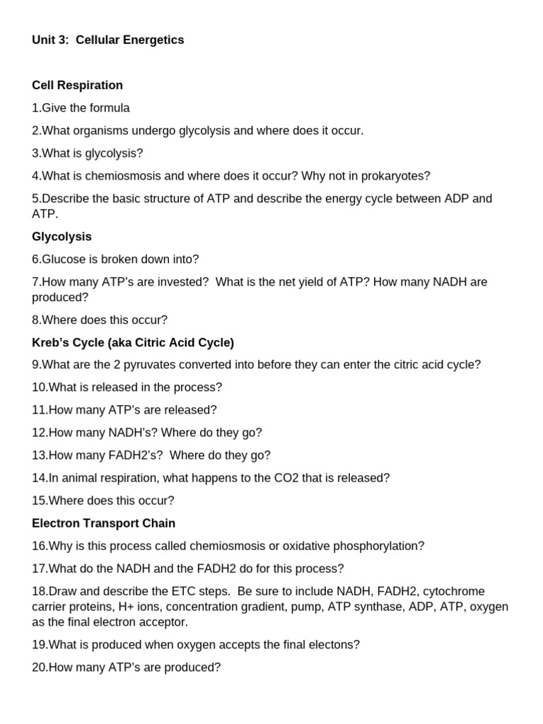 AP Biology Review Unit 3 | PDF | Cellular Respiration | Adenosine ...