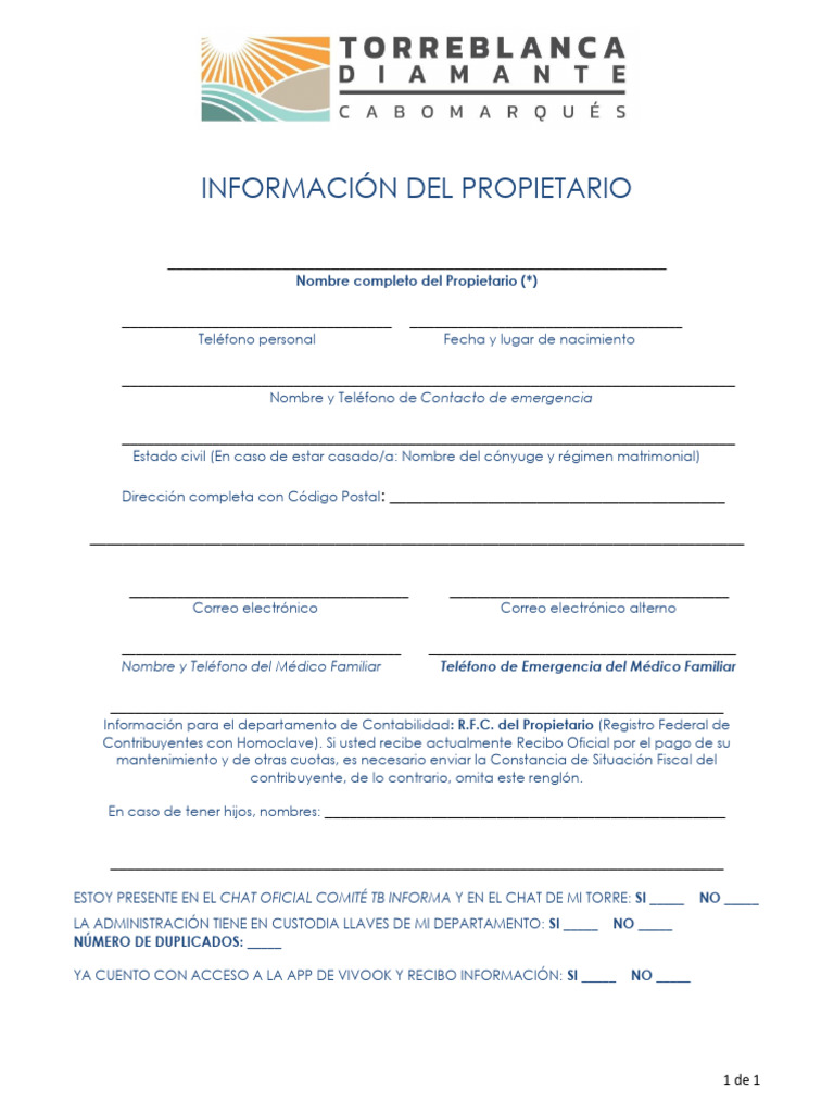 Formato Inf Propietario 4 | PDF
