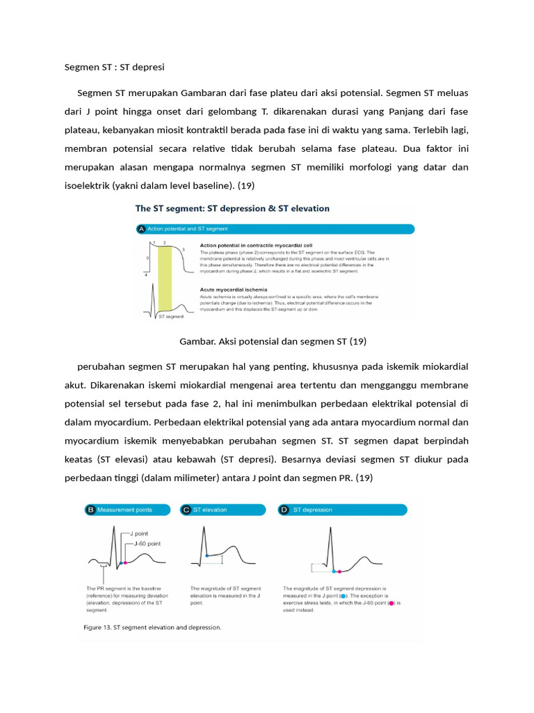 Segmen ST | PDF