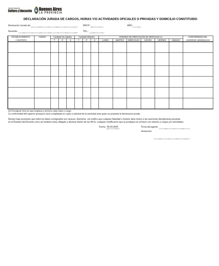 Declaracion Jurada de Cargos y Modulos | PDF