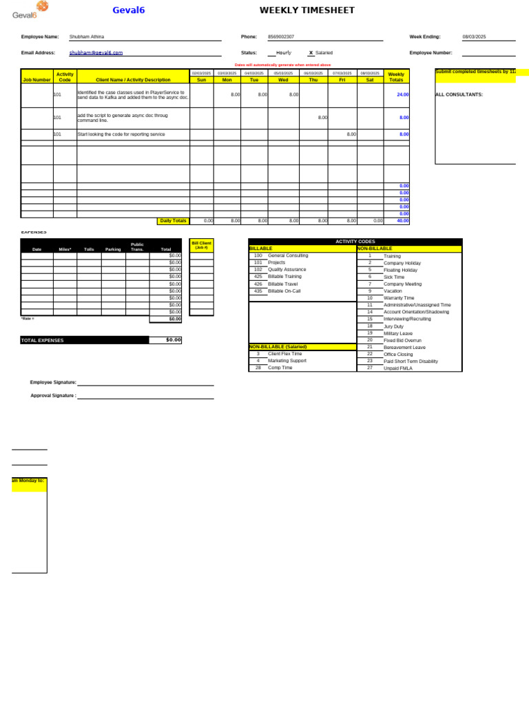 Geval6 Weekly Timesheet Submission | PDF | Family And Medical Leave Act ...