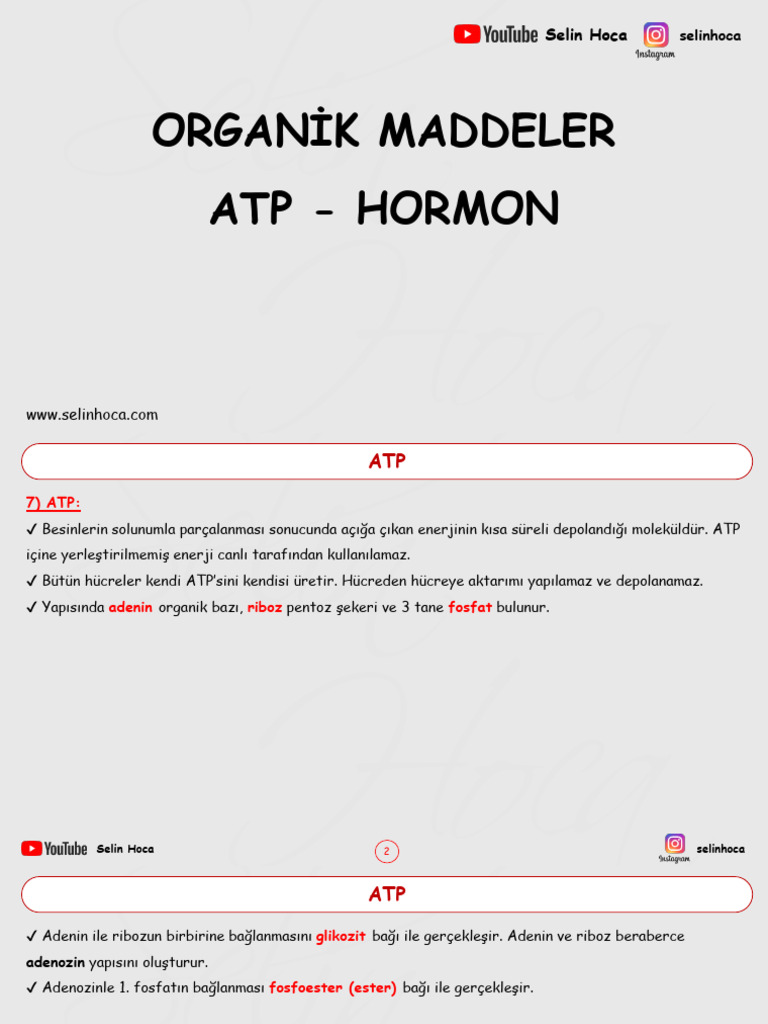 10) ATP Hormon (1) | PDF