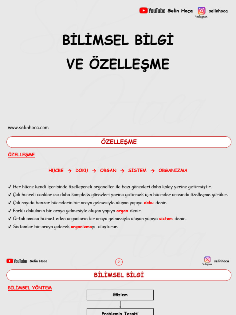 16) Bilimsel Bilgi | PDF