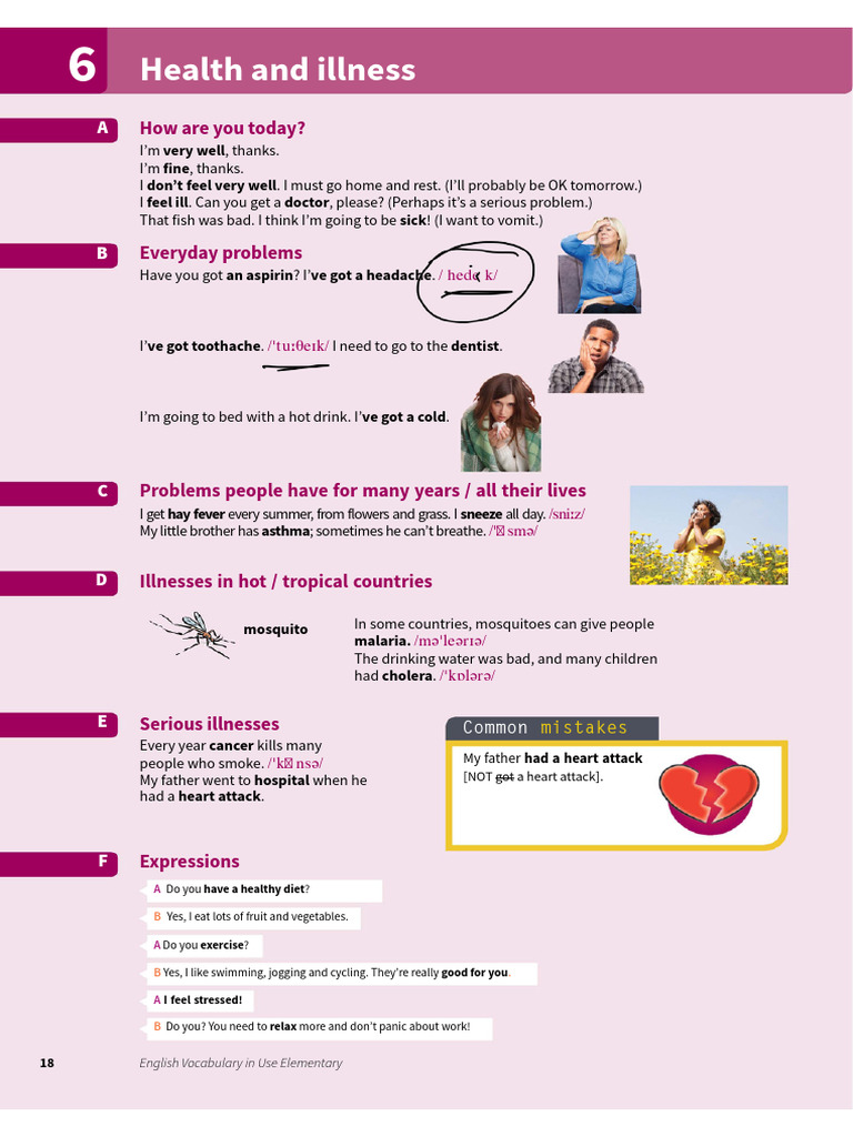 Health and Illness Vocabulary Guide | PDF | Diseases And Disorders ...