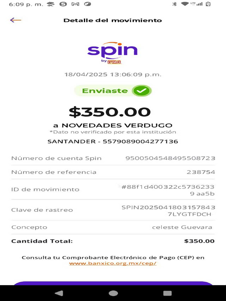 Recibo Spin | PDF
