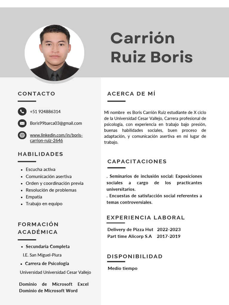 Perfil Profesional de Boris Carrión Ruiz | PDF