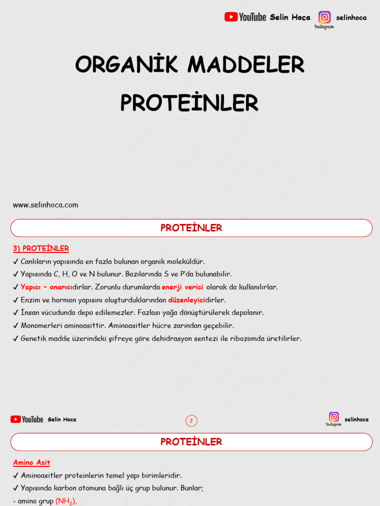 5) Proteinler | PDF