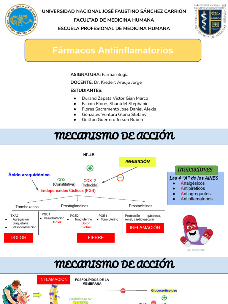 Grupo 3 - Fármacos Antiinflamatorios | PDF | Droga anti-inflamatoria libre de esteroides ...