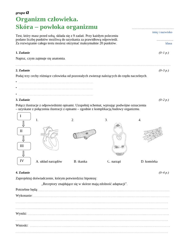 Sprawdzian 1 Organizm Czlowieka Skora Powloka Orga | PDF