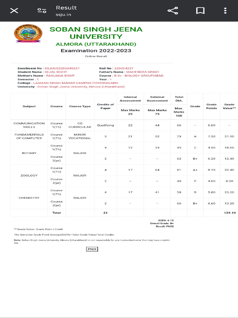 BSC Result | PDF