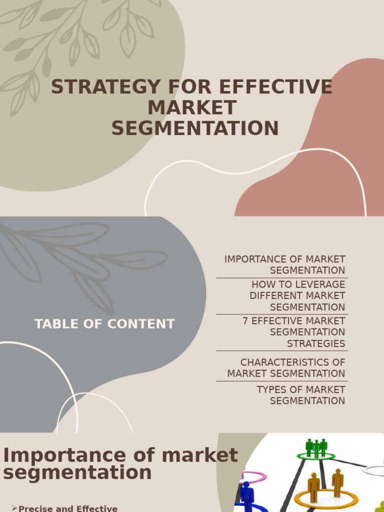 Strategy For Effective Market Segmentation | PDF