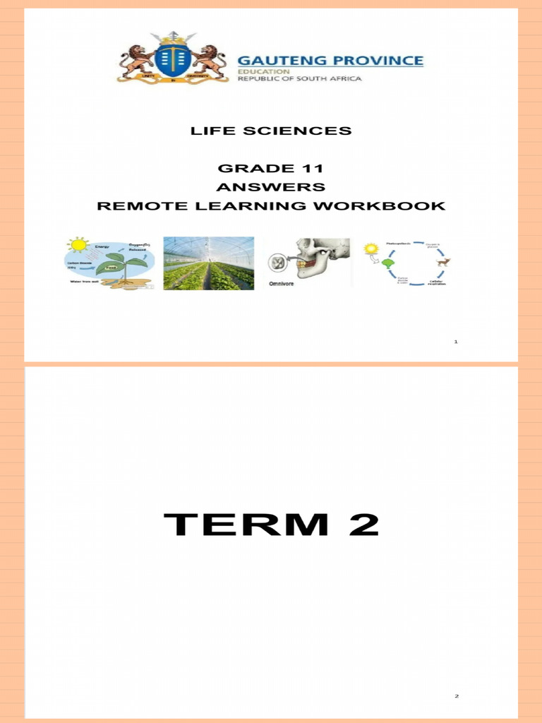 Remote Learning (Term2 Memo) - 250116 - 200554 | PDF
