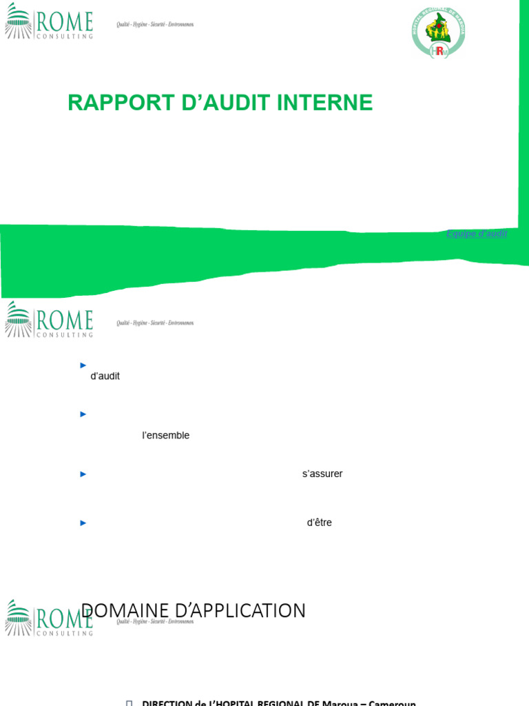 Rapport D Audit Interne 2024 Campagne 1-1 | PDF | Système de management de la qualité | Audit