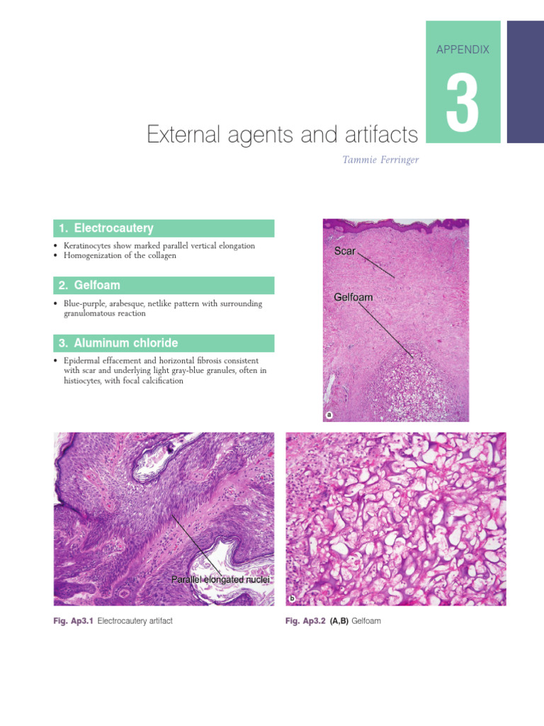 Elston. Appendix 3 - External agents and artifacts | PDF