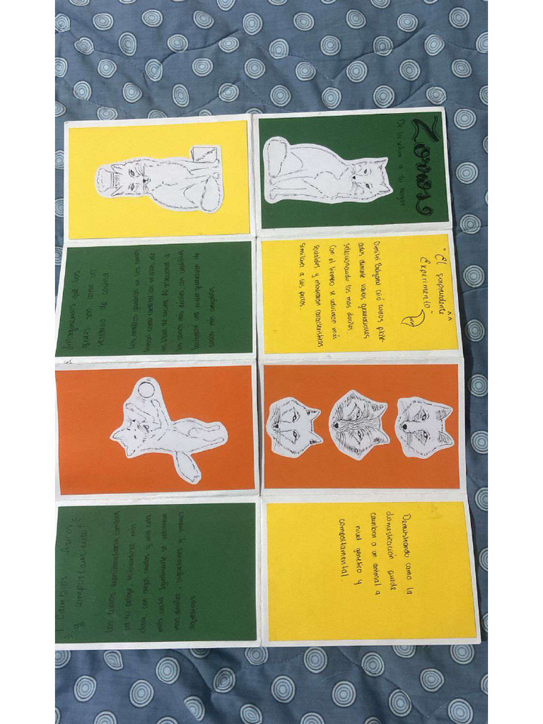 Fanzine | PDF