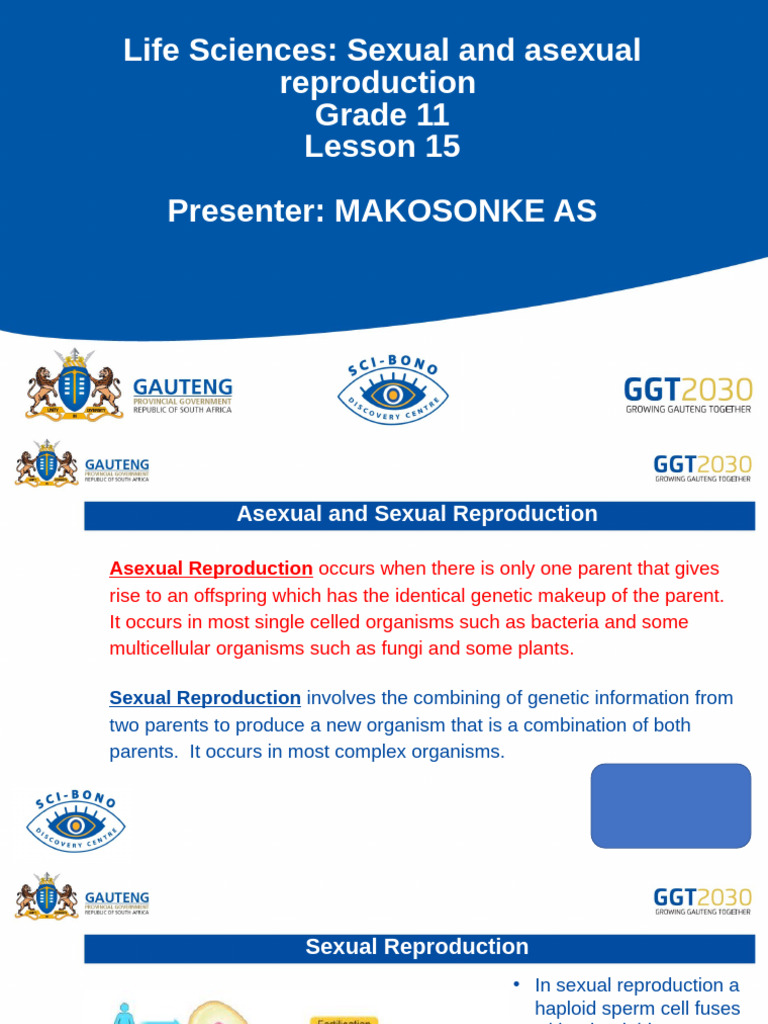 Life Sciences Gr.11 Lesson 15 Sexual and asexual reproduction (1) | PDF ...
