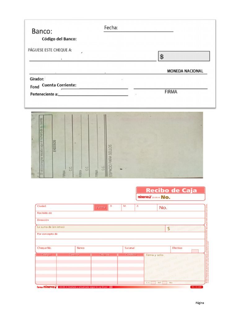 Taller Soporte Contable - Formatos | PDF