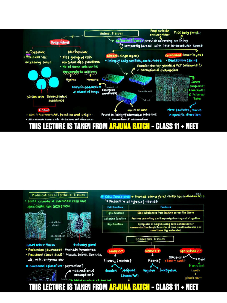 Zoology 11 | PDF