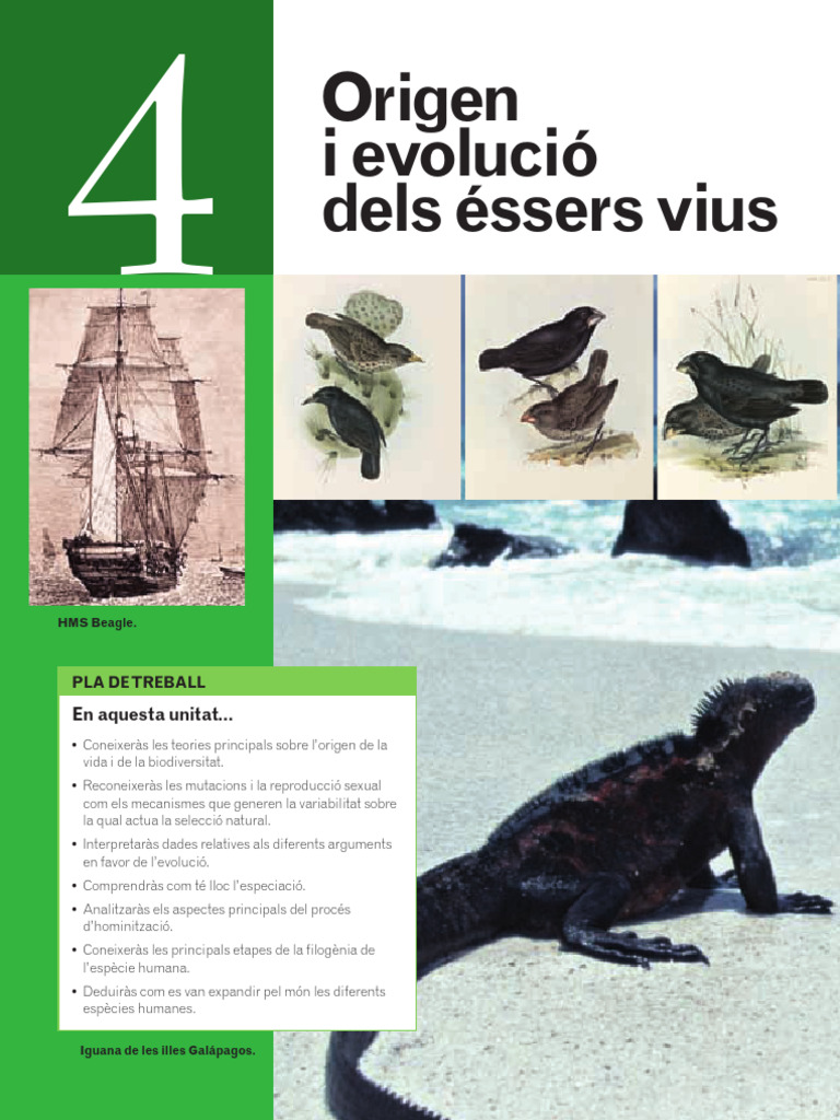 Un-4 Origen I Evoluciã Ã© Ssers Vius (Llibre Santillana Biol-Geol 4t) | PDF