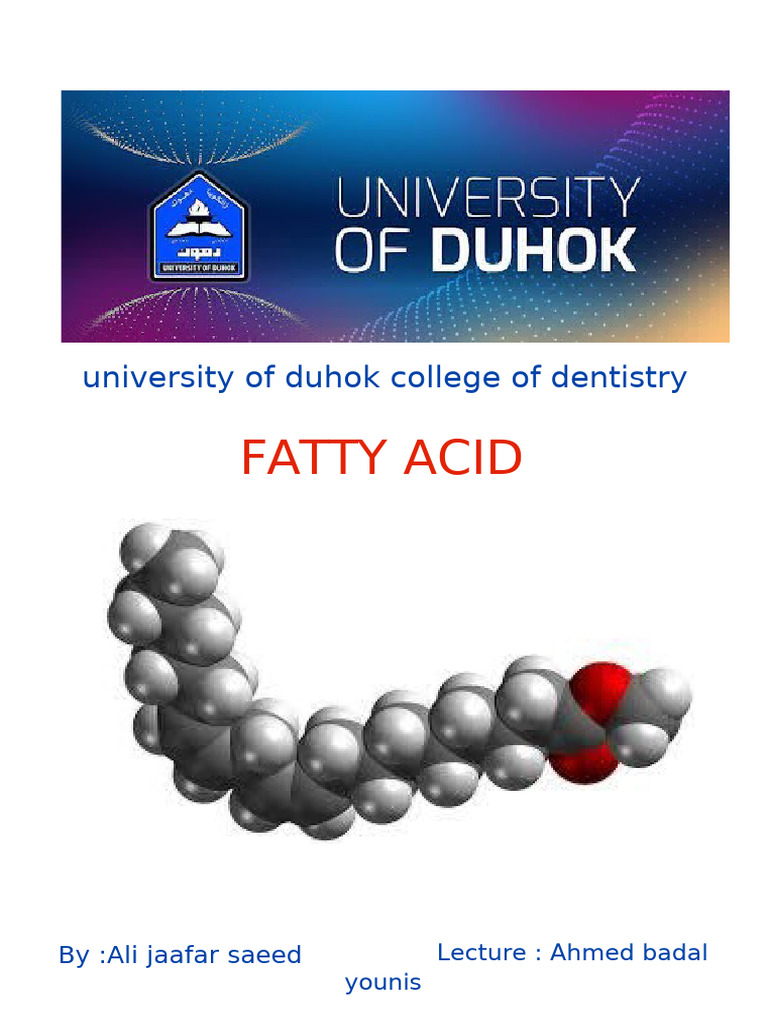 Understanding Fatty Acids and Their Impact | PDF