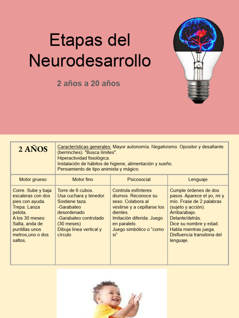 Etapas Del Neurodesarrollo | PDF | Adolescencia | Adultos