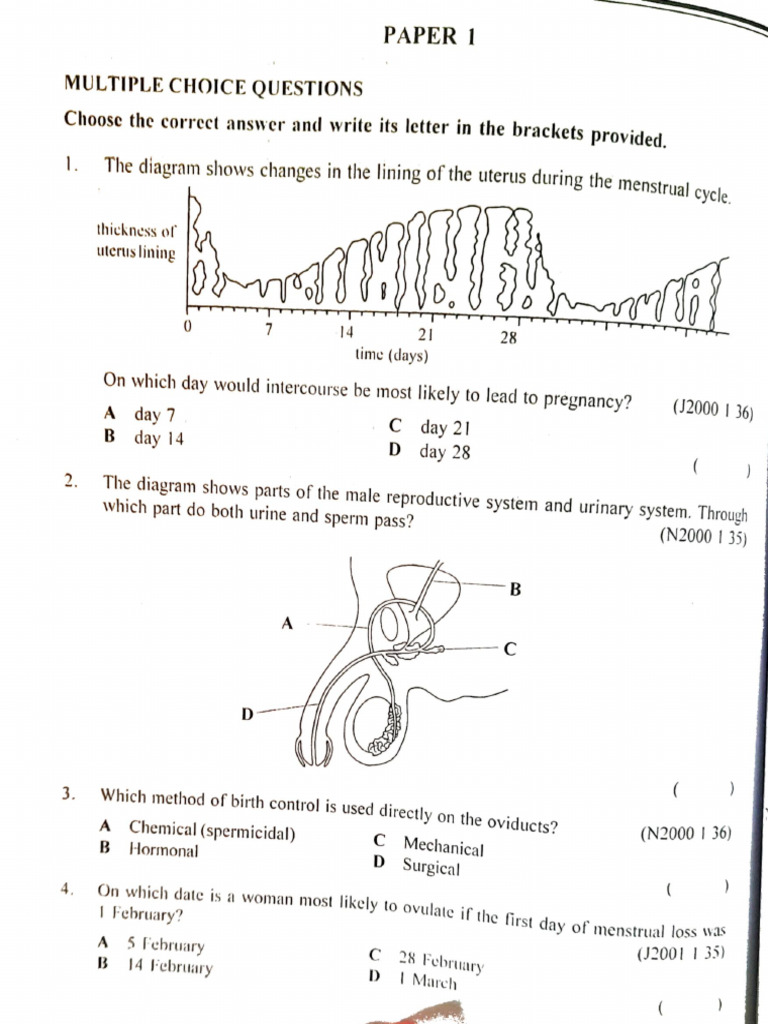 Humam Reproduction Test | PDF