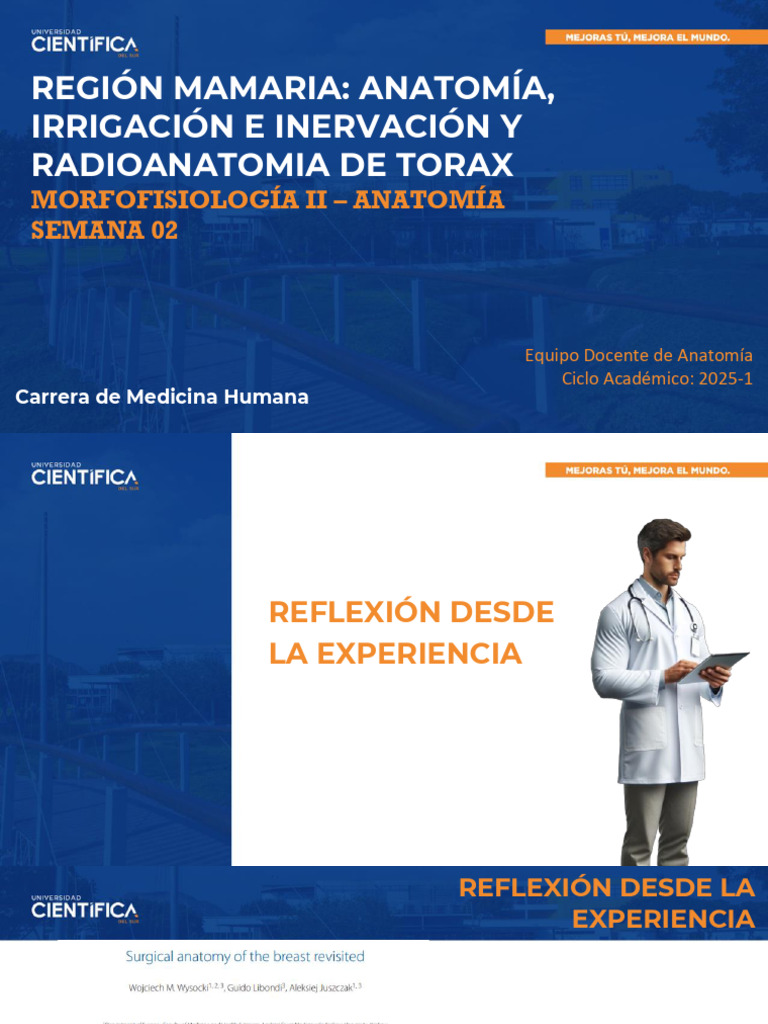 Anatomia Sesión 02 - 2025 - 1 | PDF | Pecho | Morfología (biología)