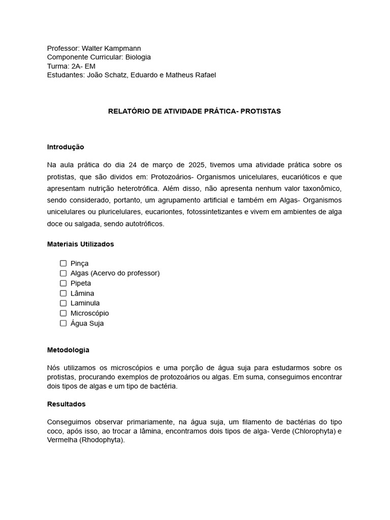 Relatório Aula Prática | PDF