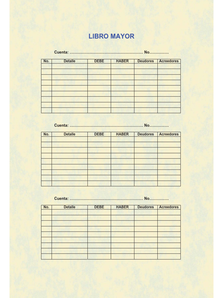 17 - Libro Mayor | PDF