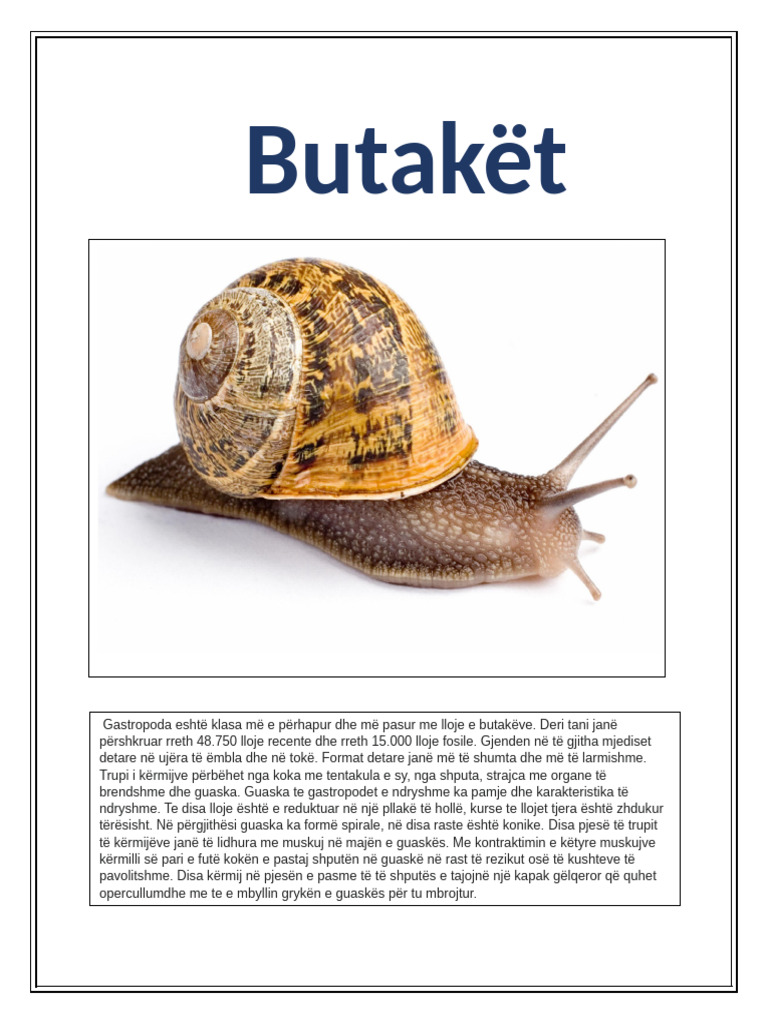 Butakët Dhe Gjitaret | PDF