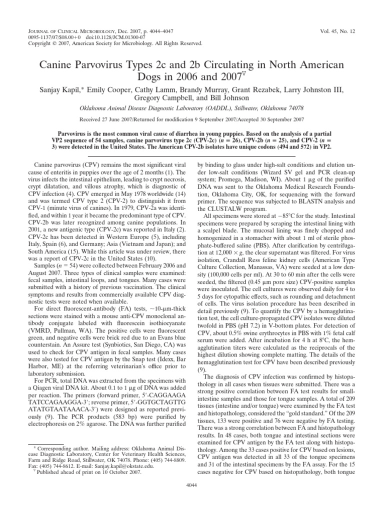 Canine Parvovirus Types 2c and 2b Circulating in North American | PDF ...