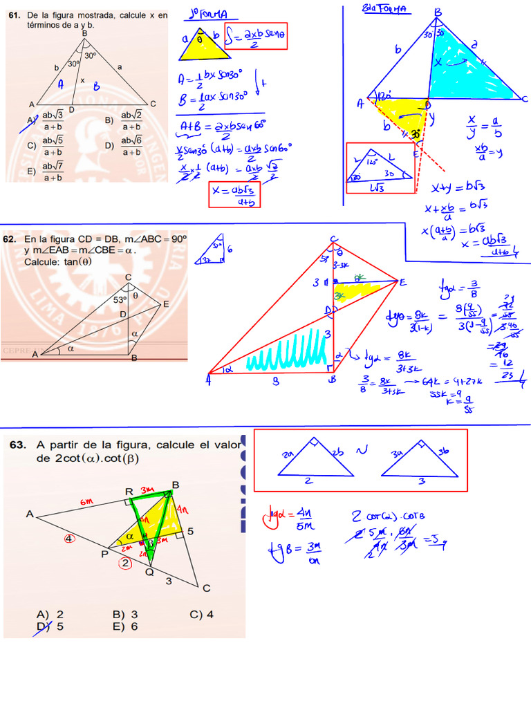 Resolución Trigo Uni 2021 | PDF