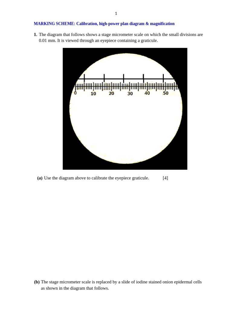 Eyepiece Graticule Calibration Guide | PDF