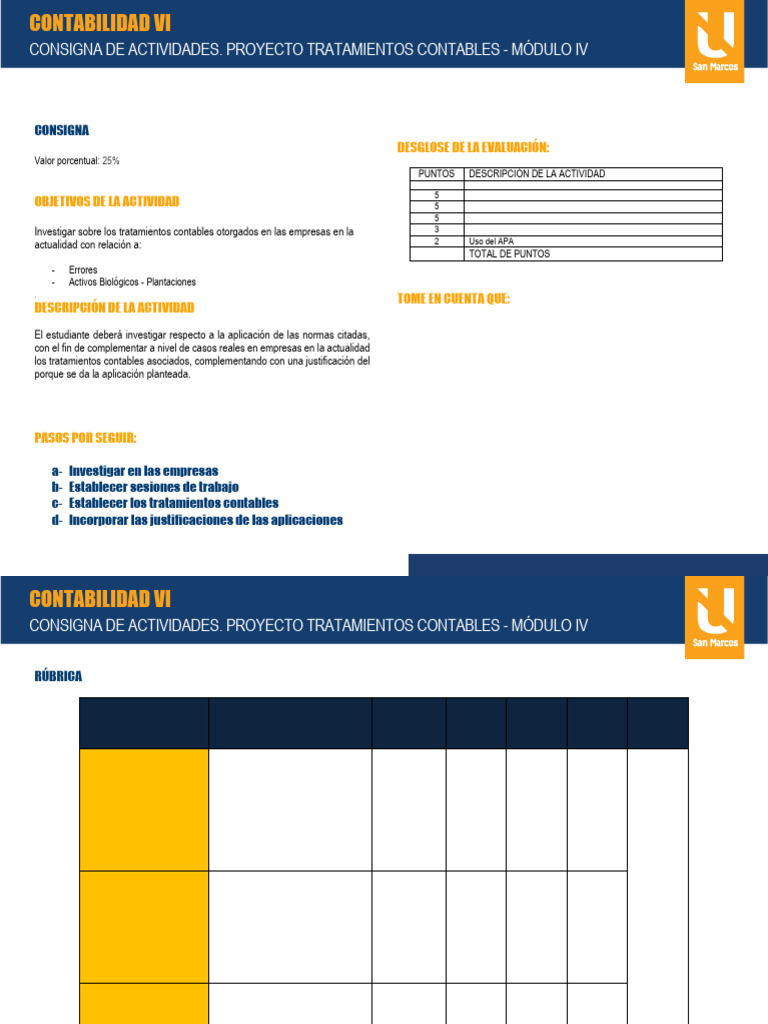Consigna Proyecto Aplicado Tratamientos Contables | PDF | Diseño | Creatividad
