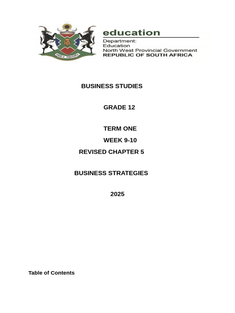 Final 2025 Grade 12 Notes Business Strategies | PDF | Strategic ...