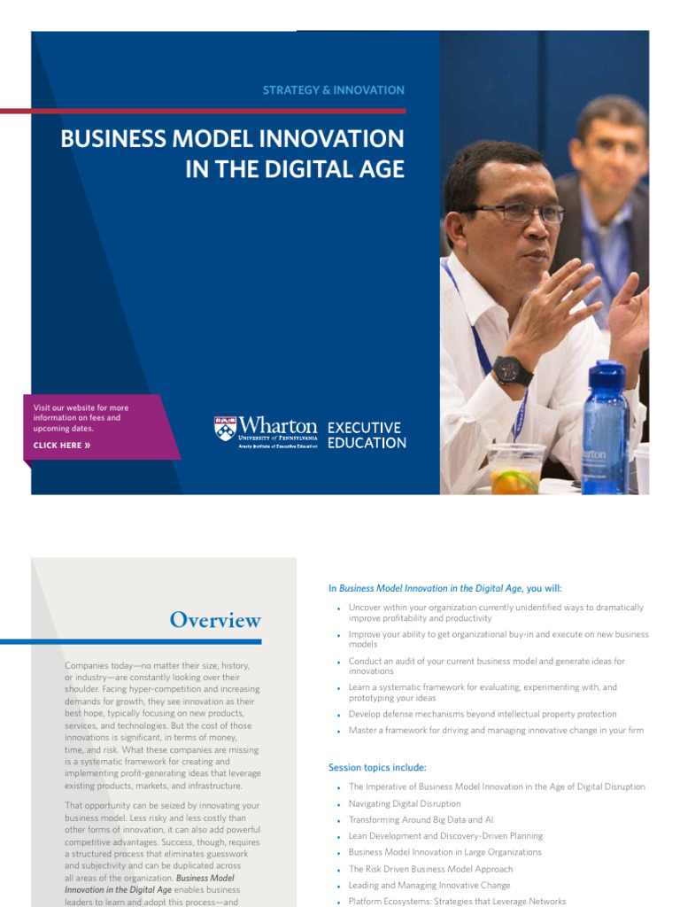 Digital Age Business Model Innovation | PDF | Business Model | Innovation