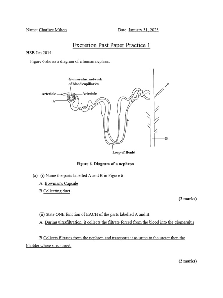 Excretion Past Paper Practice Guide | PDF