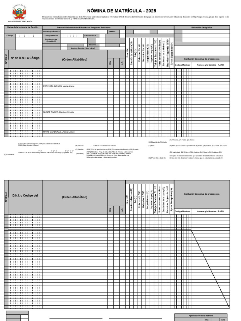 1RO C 2025 SEC RptFormatoOficial | PDF